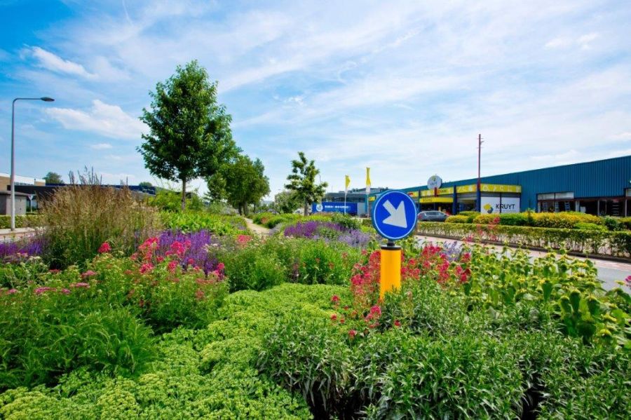 Een werkplek waar je wil zijn: de groene transformatie