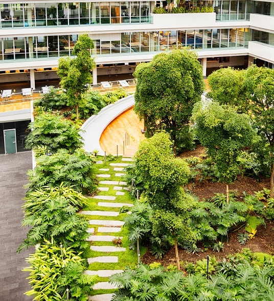 Natuur & leefomgeving