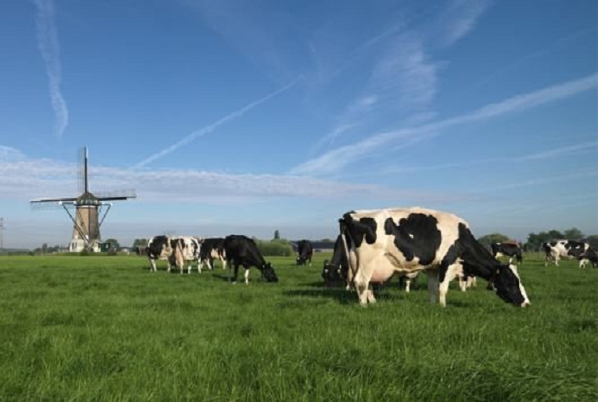 E-Learning weidegang